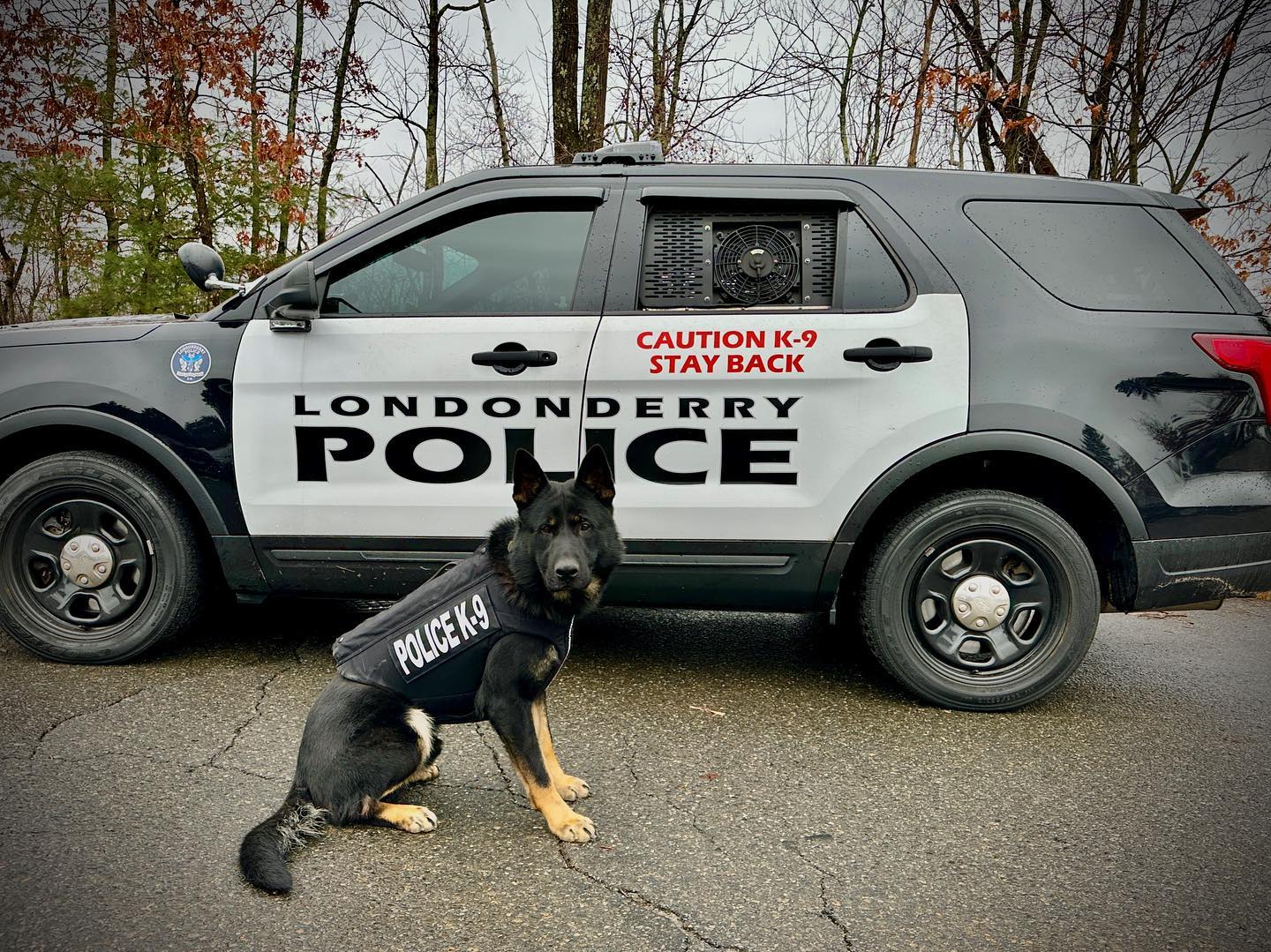 Armed Robbery in Londonderry | 95.7FM WZID