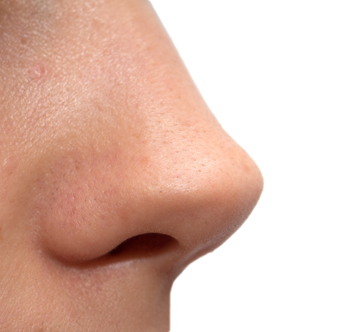 Abbys Joke: Why Can’t A Nose Be 12 Inches Long? | 95.7FM WZID