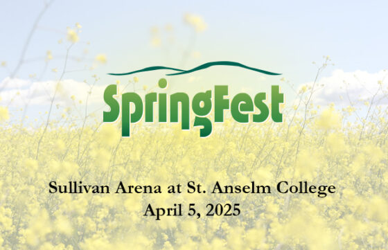 Springfest 2025 | 95.7FM WZID