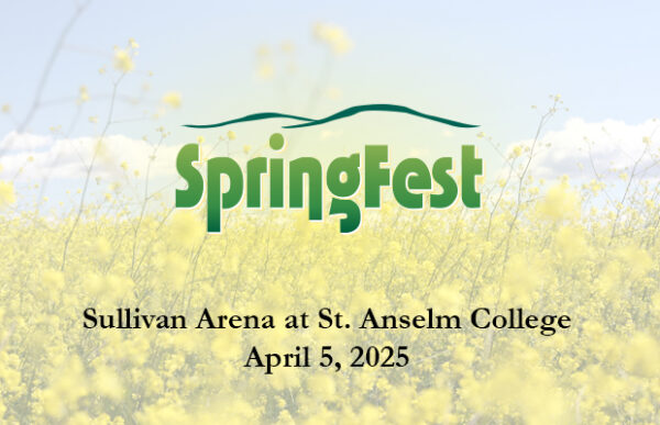 Springfest 2025 | 95.7FM WZID